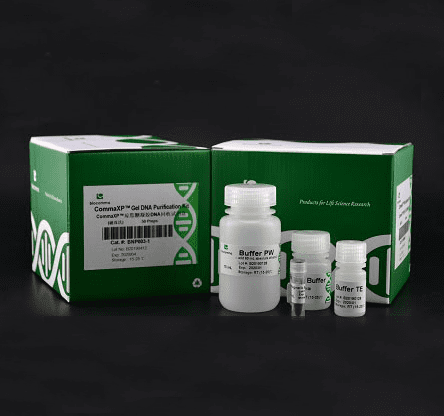 PCR DNA Purification Kits (Magnetic Beads) – BeingBio